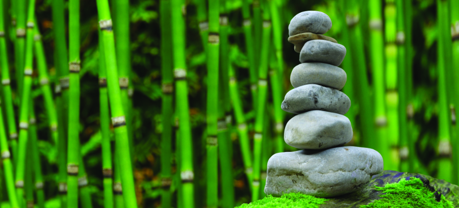 Gestiona tus Emociones - FPMT